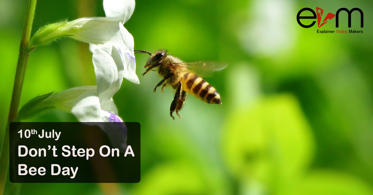 10th July: Don’t Step On A Bee Day - Explainer Video Makers