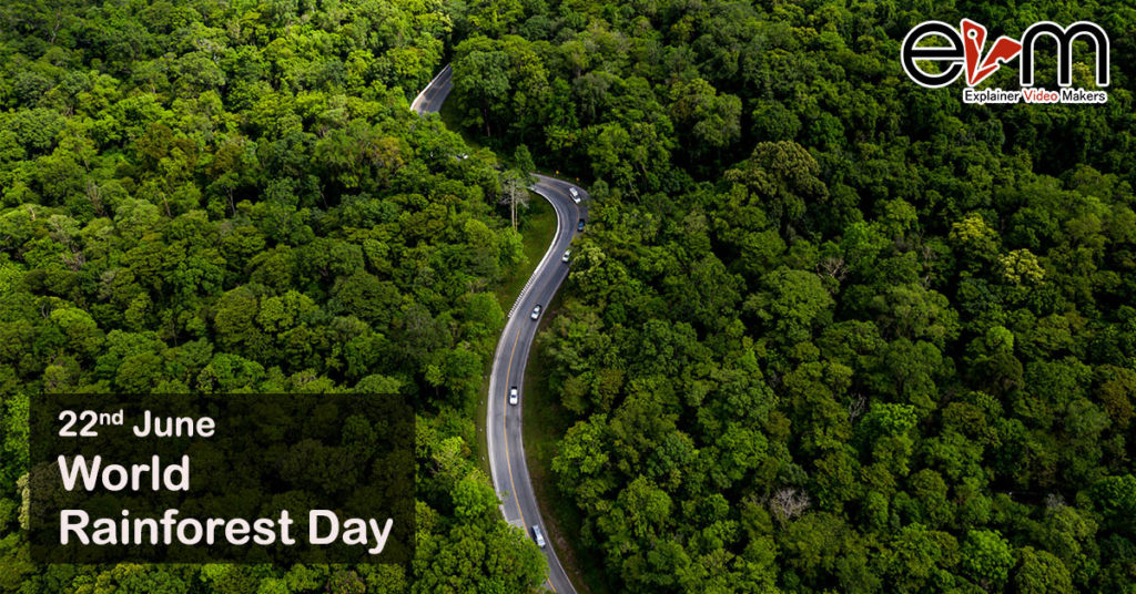22nd June: World Rainforest Day - Explainer Video Makers